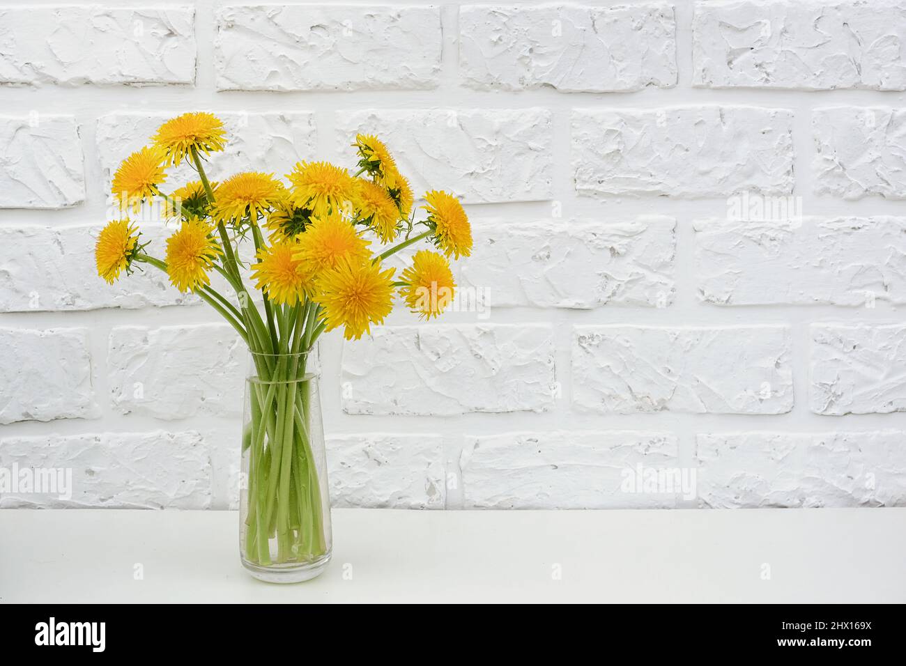 Bouquet of yellow dandelion in vase on table background white brick ...