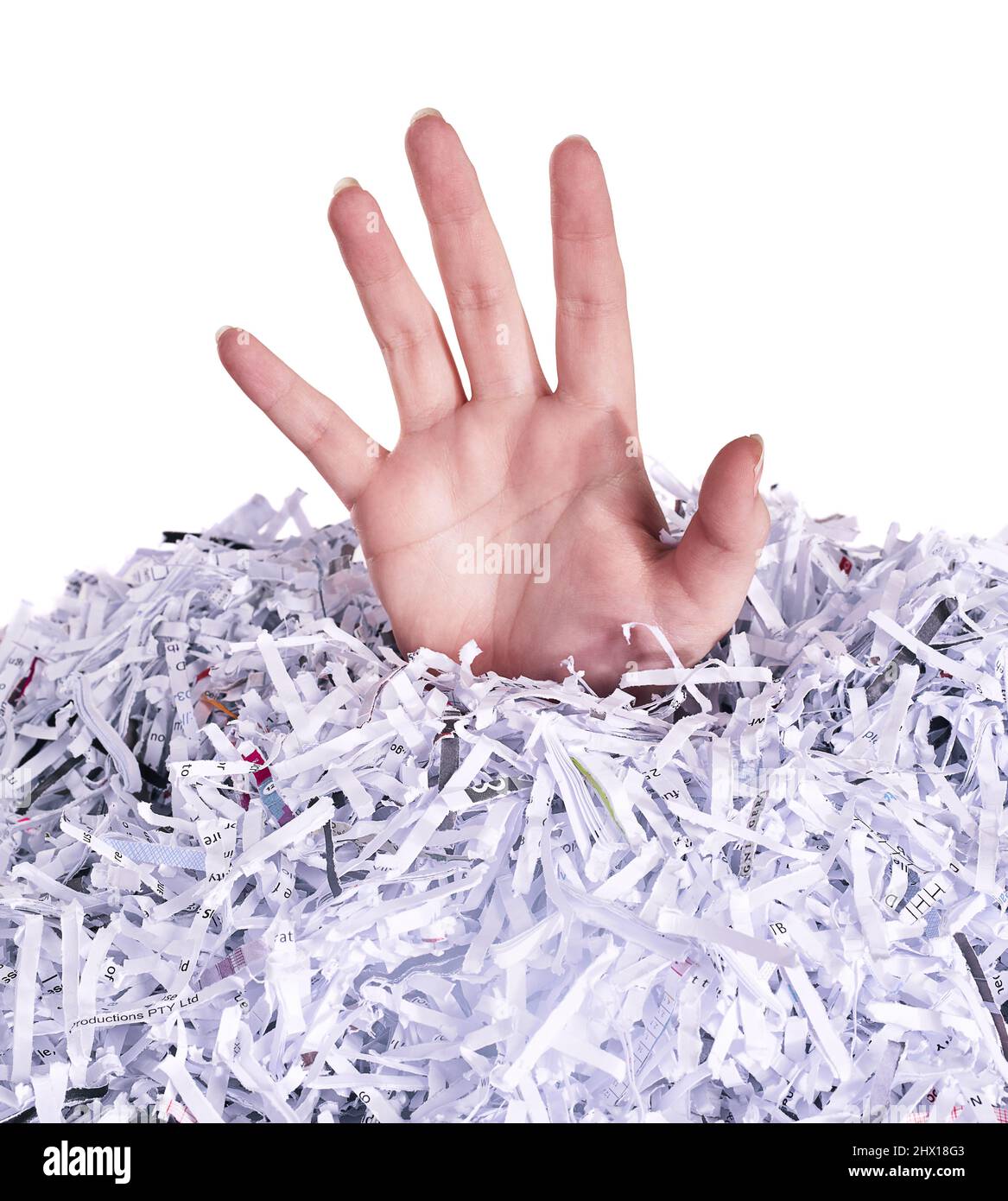Drowning in destroyed documents. Studio shot of a womans hand reaching ...