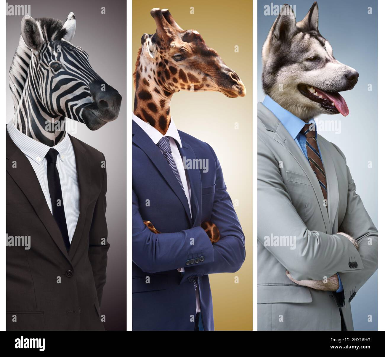 Animal Heads On People