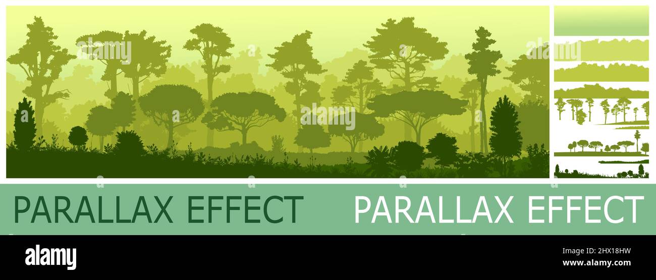 Dense jungle forest in morning mist. Silhouettes of tall trees ...