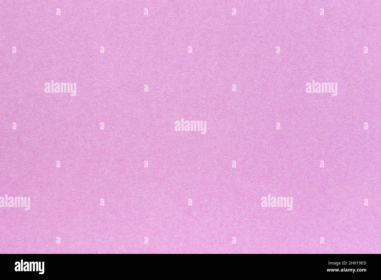 Texture pink pastel paper background. Template for your design Stock ...