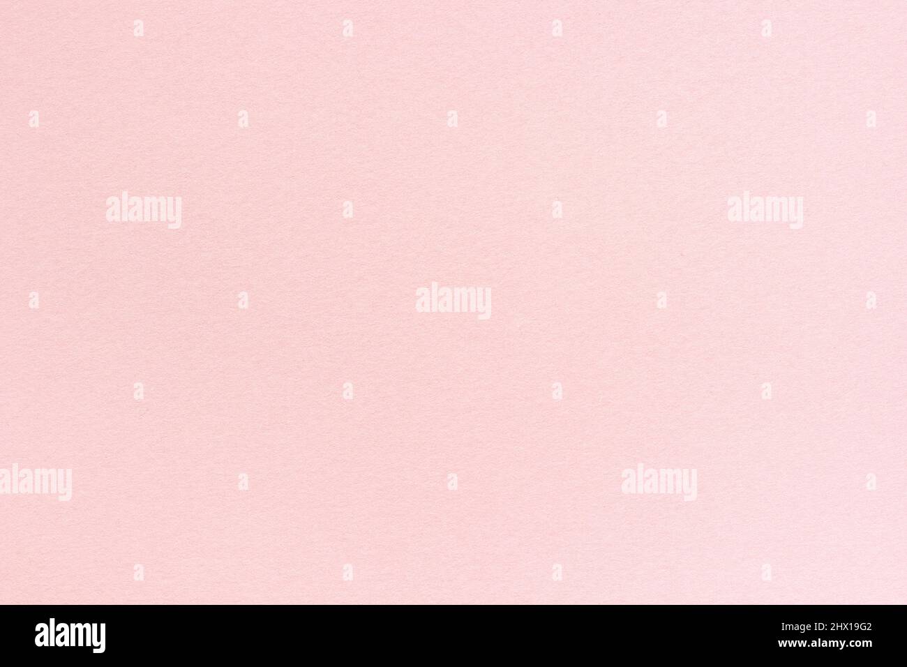 Texture pink pastel paper background. Template for your design Stock ...