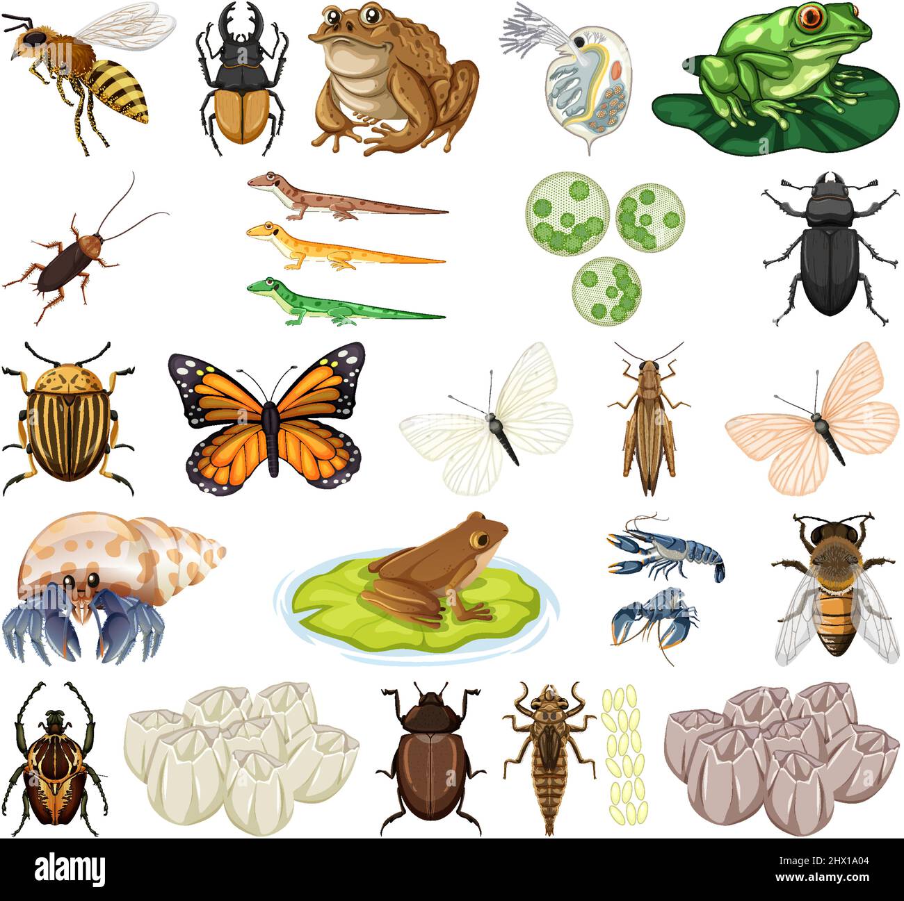 Different kinds of insects and animals on white background illustration ...