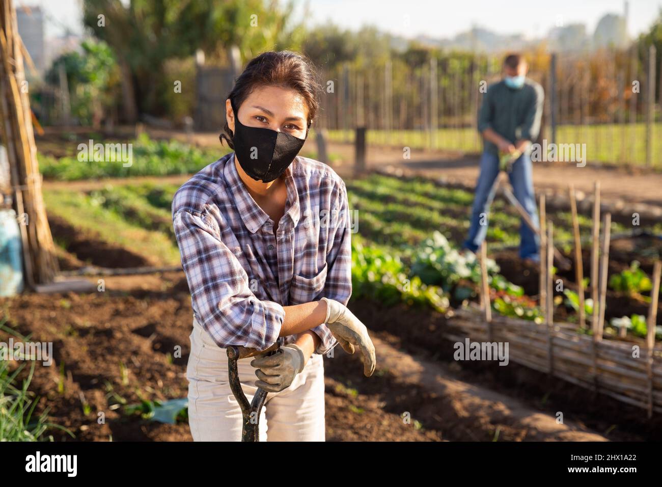 Female gardener in protective mask standing with shovel in vegetable ...