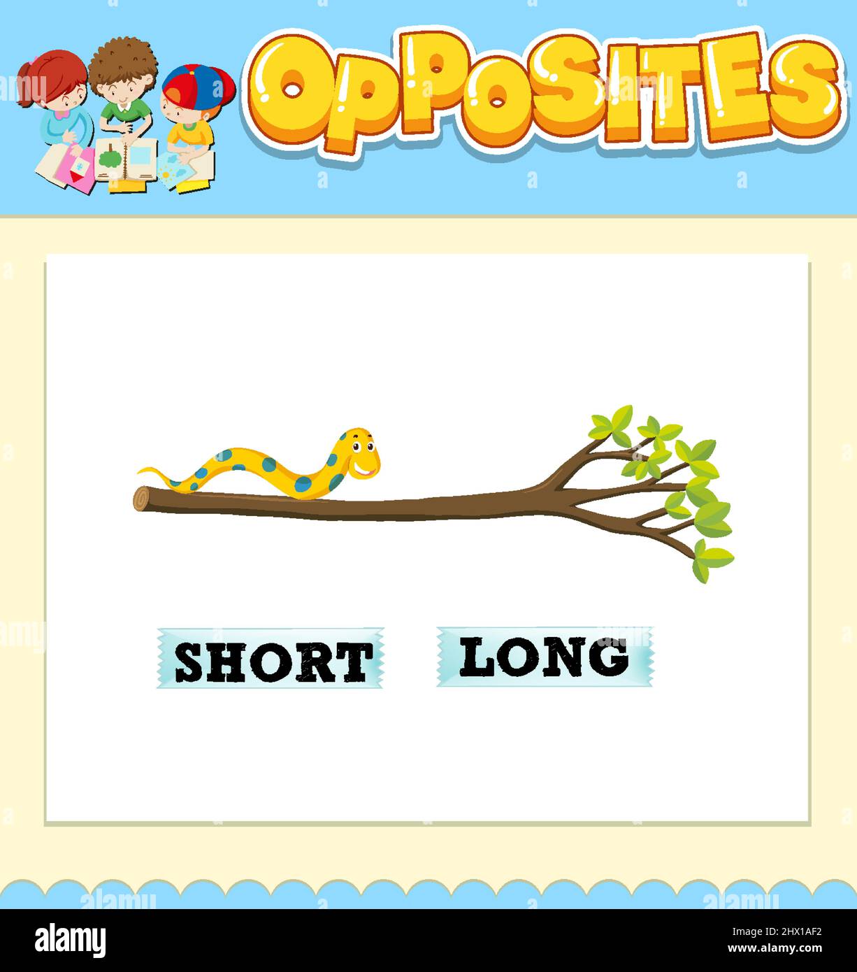 Opposite words for short and long illustration Stock Vector Image & Art ...