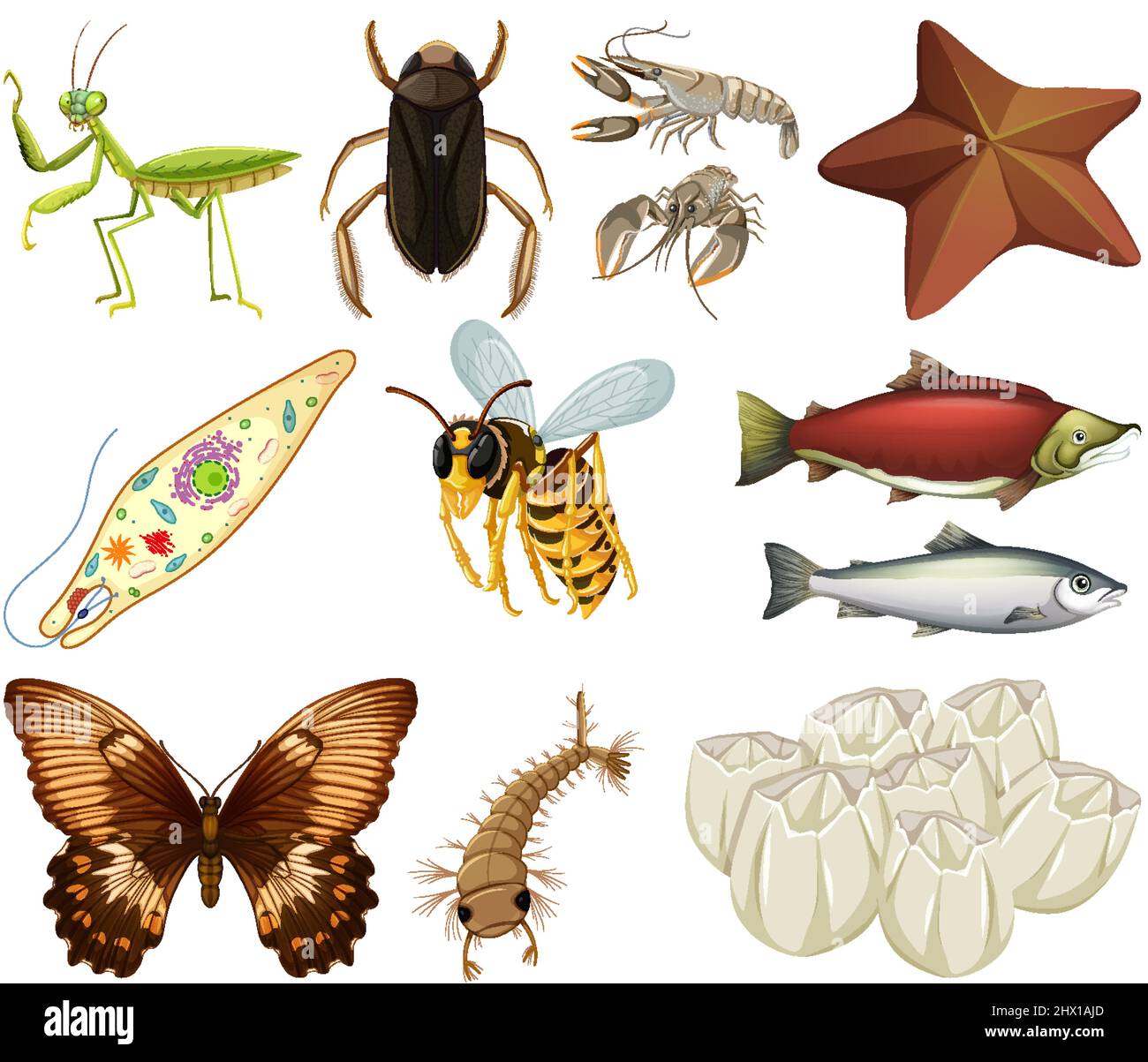 Different kinds of insects and animals on white background illustration ...