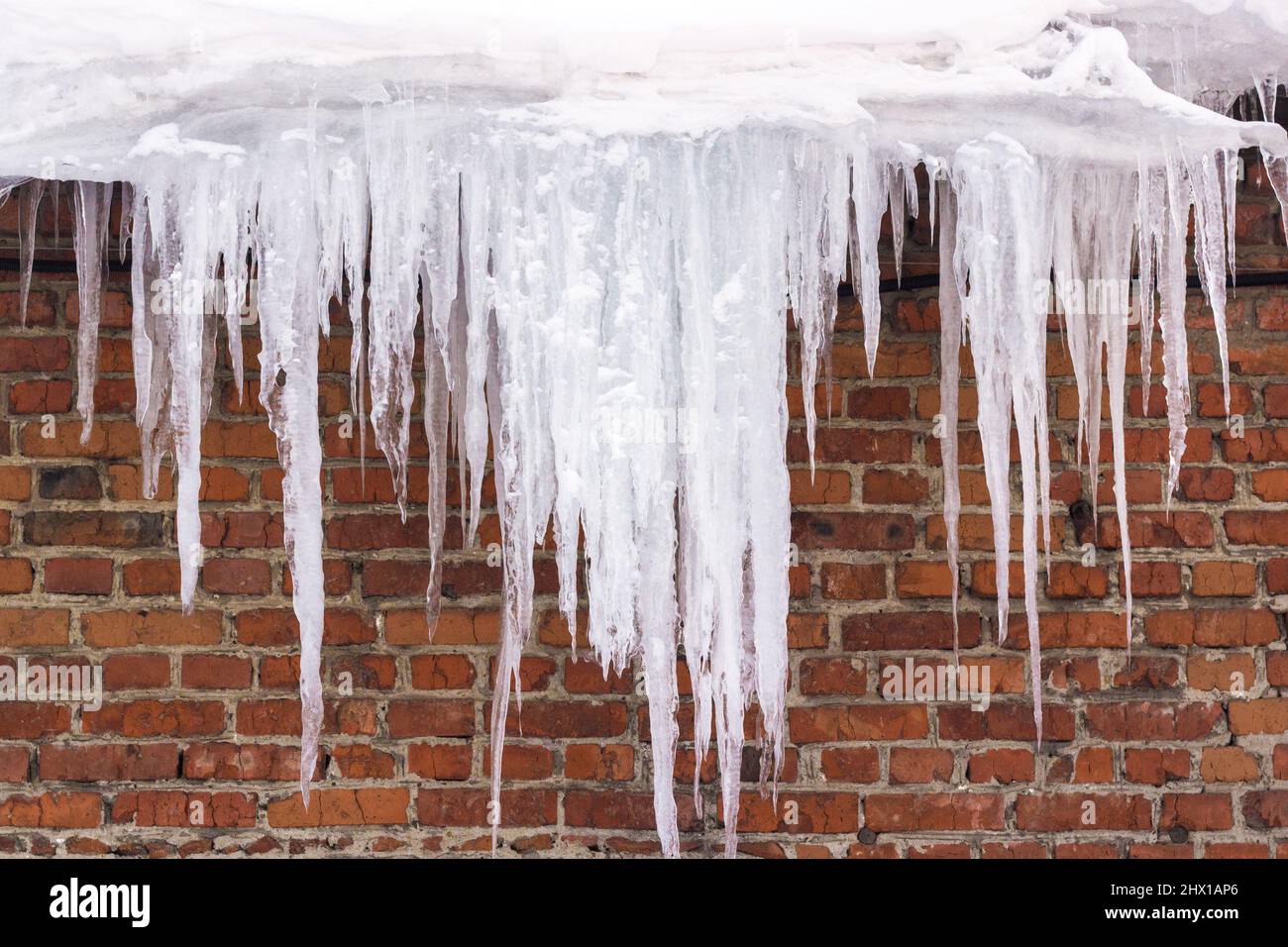 Giant Icicles On Castle Wall