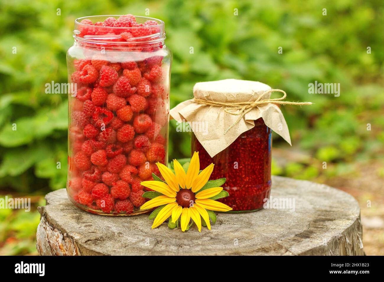 Harvest Raspberry berries in the glass jar, Jam and flower on old stump ...