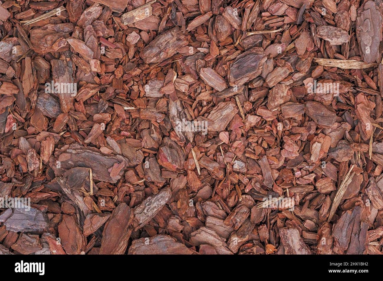 Wood chip bark ground cover hi-res stock photography and images - Alamy