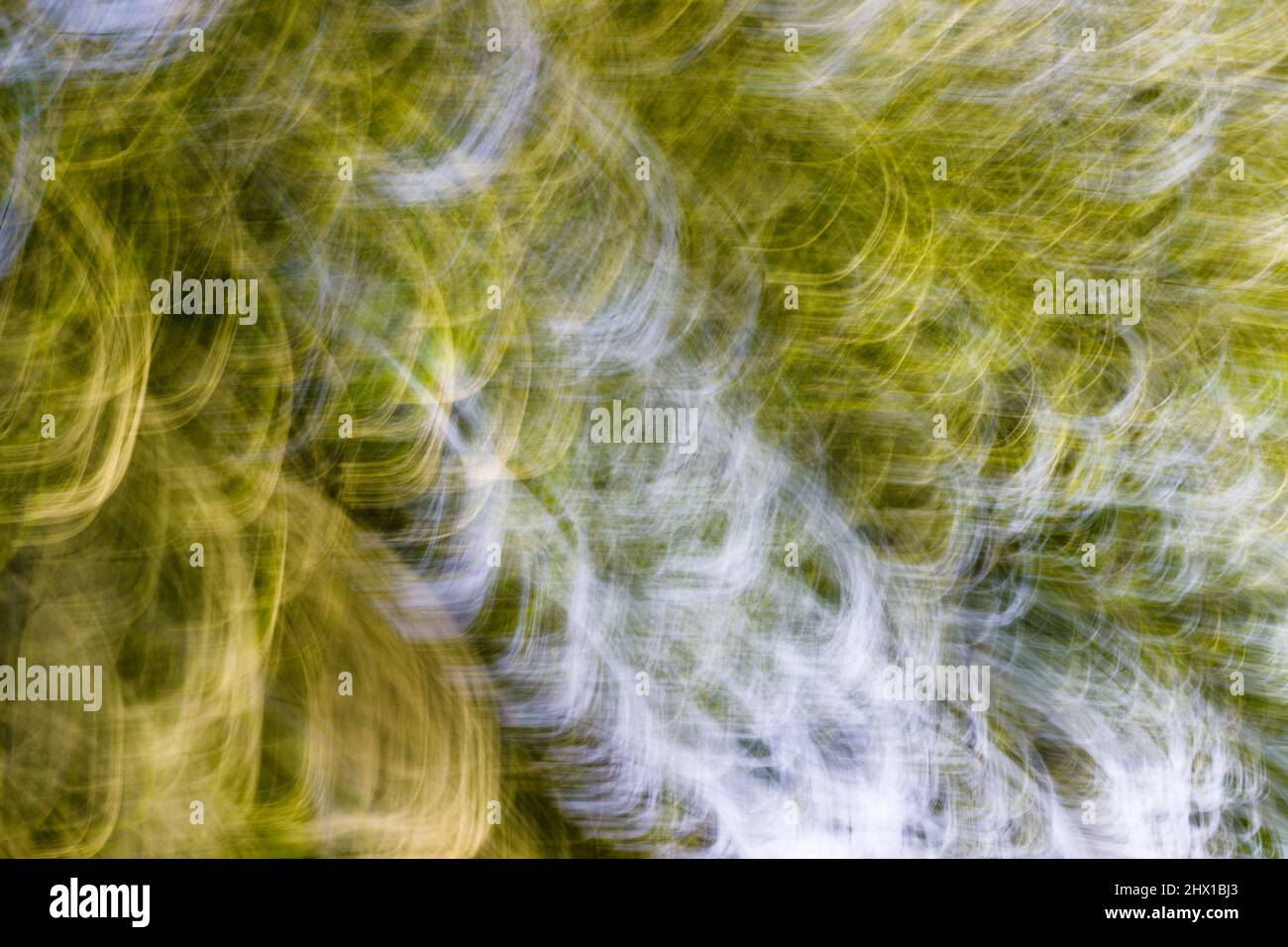 Abstract natural background with motion and blur effect. Long exposure ...