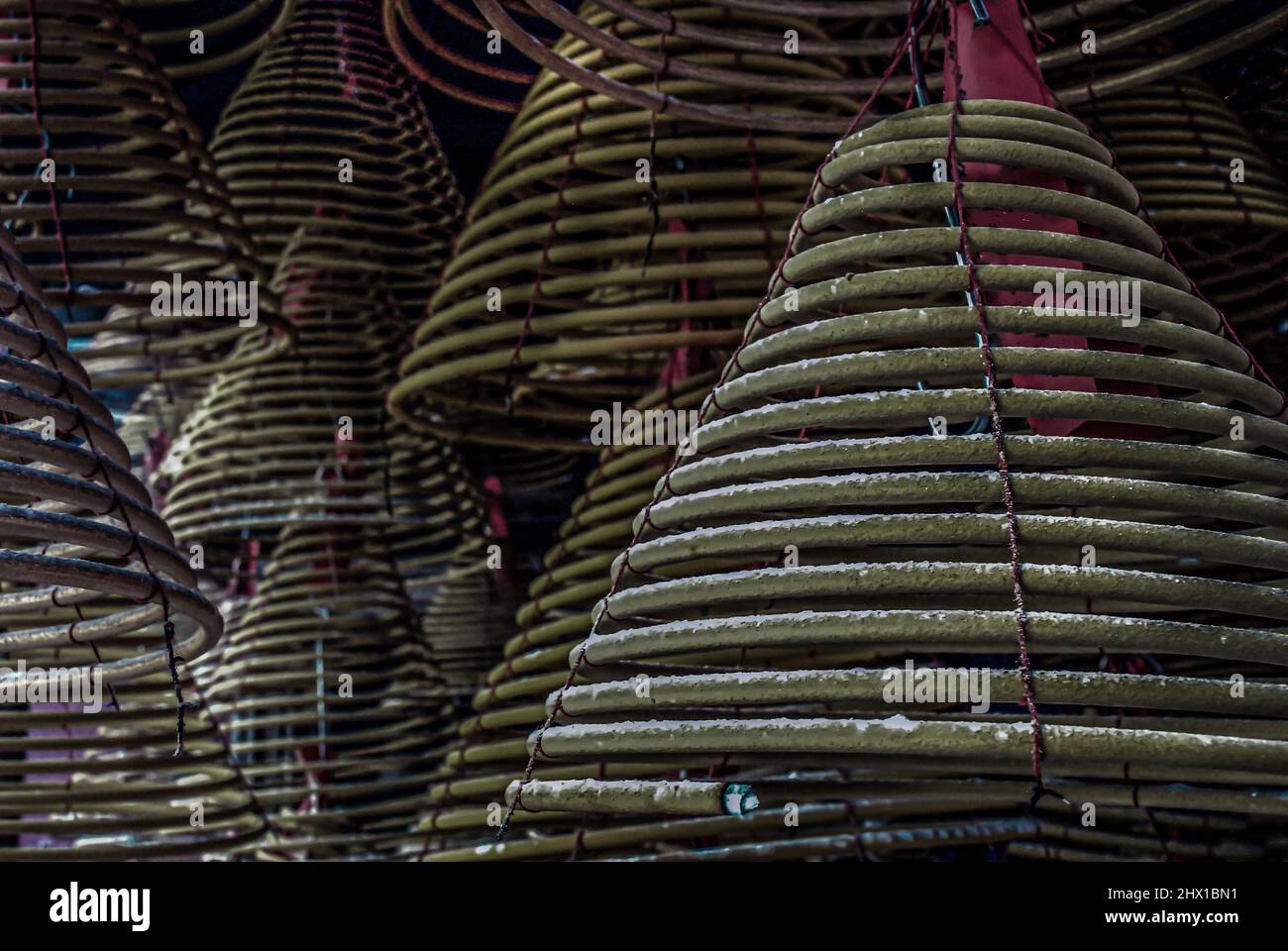 Multiple large yellow incense coils hanging in stacks from the Ceiling ...