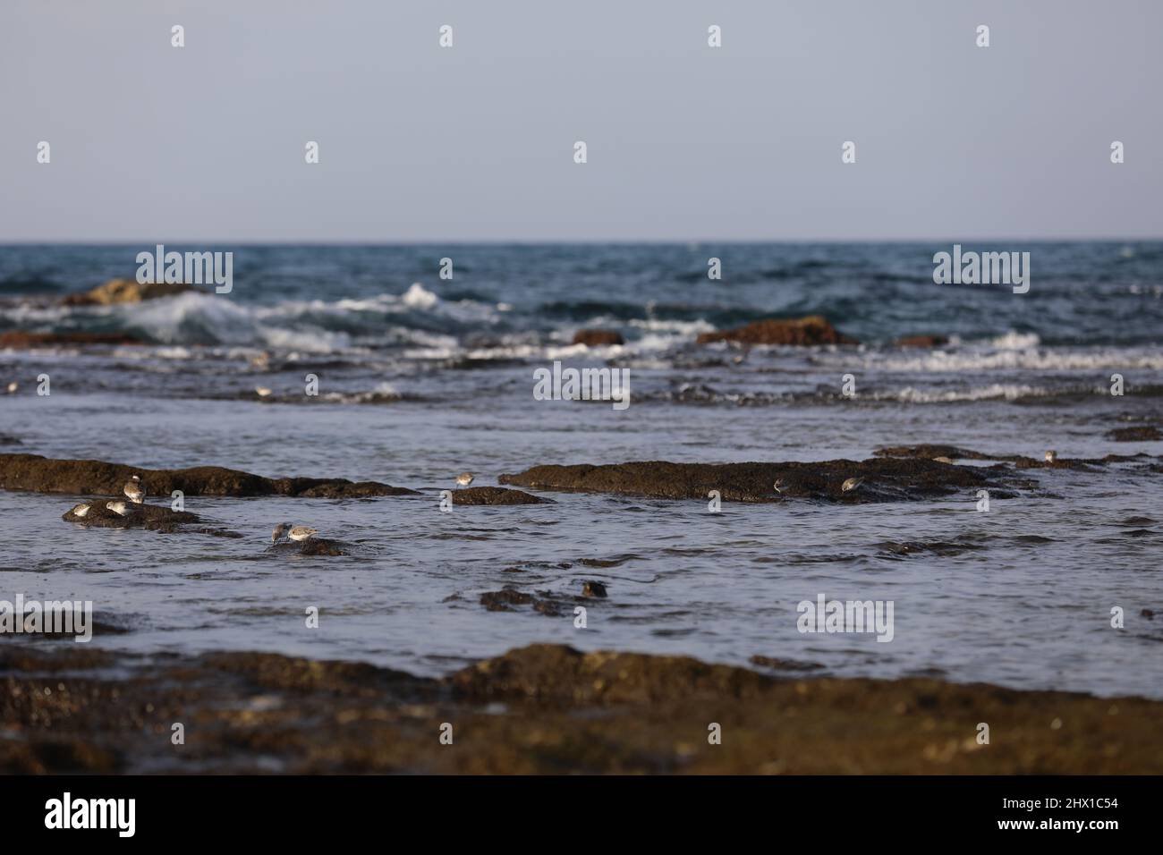 Landscape of rock and sea High quality Stock Photo - Alamy