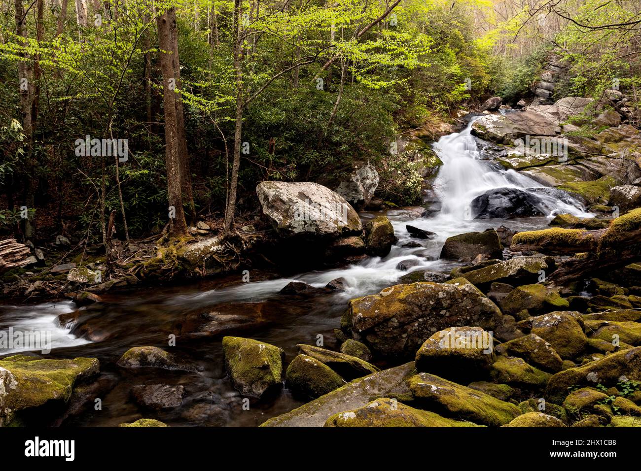 Middle Prong Trail of the Great Smoky Mountains in Cades Cove has ...