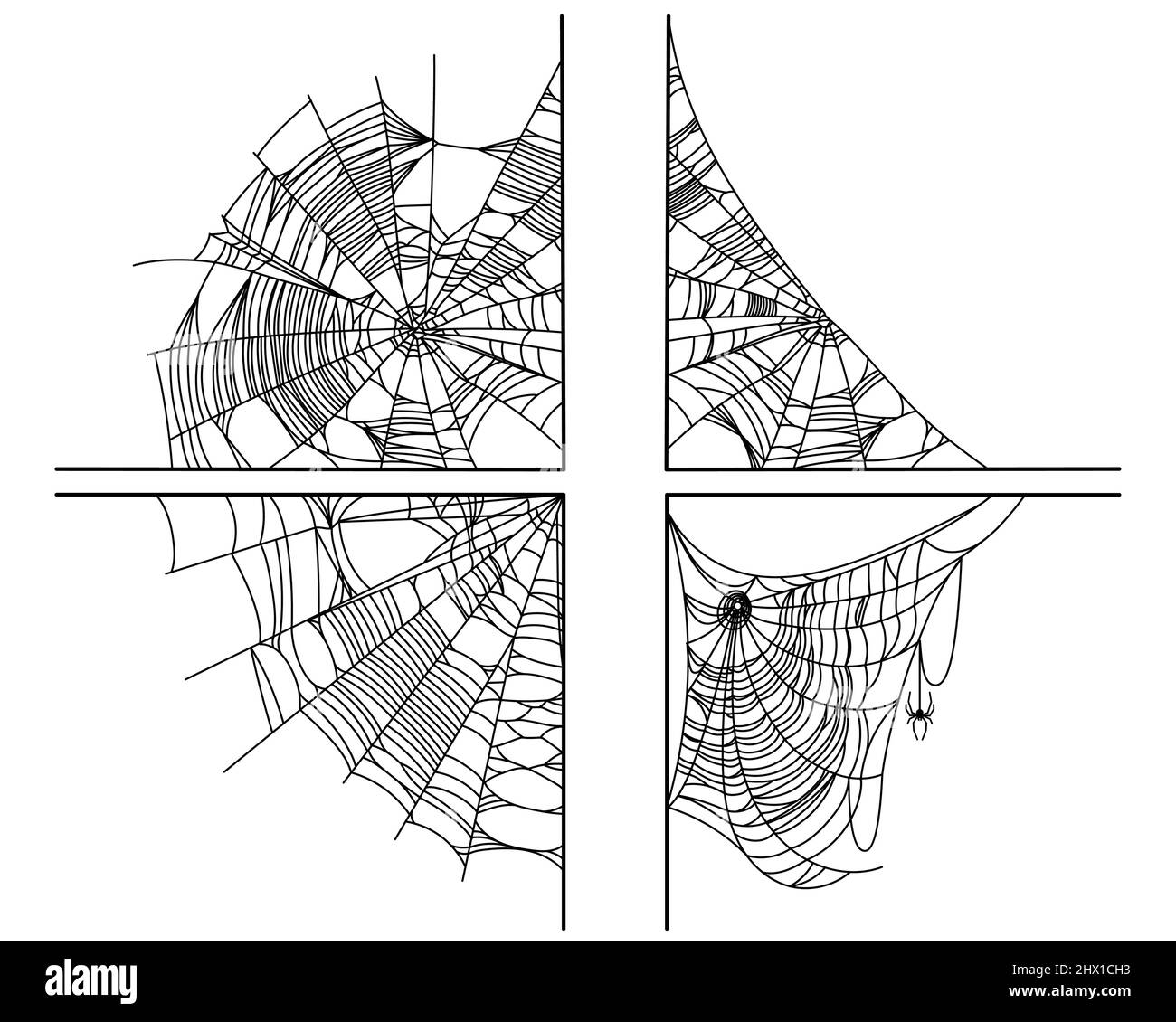 Corner Spider Web Border