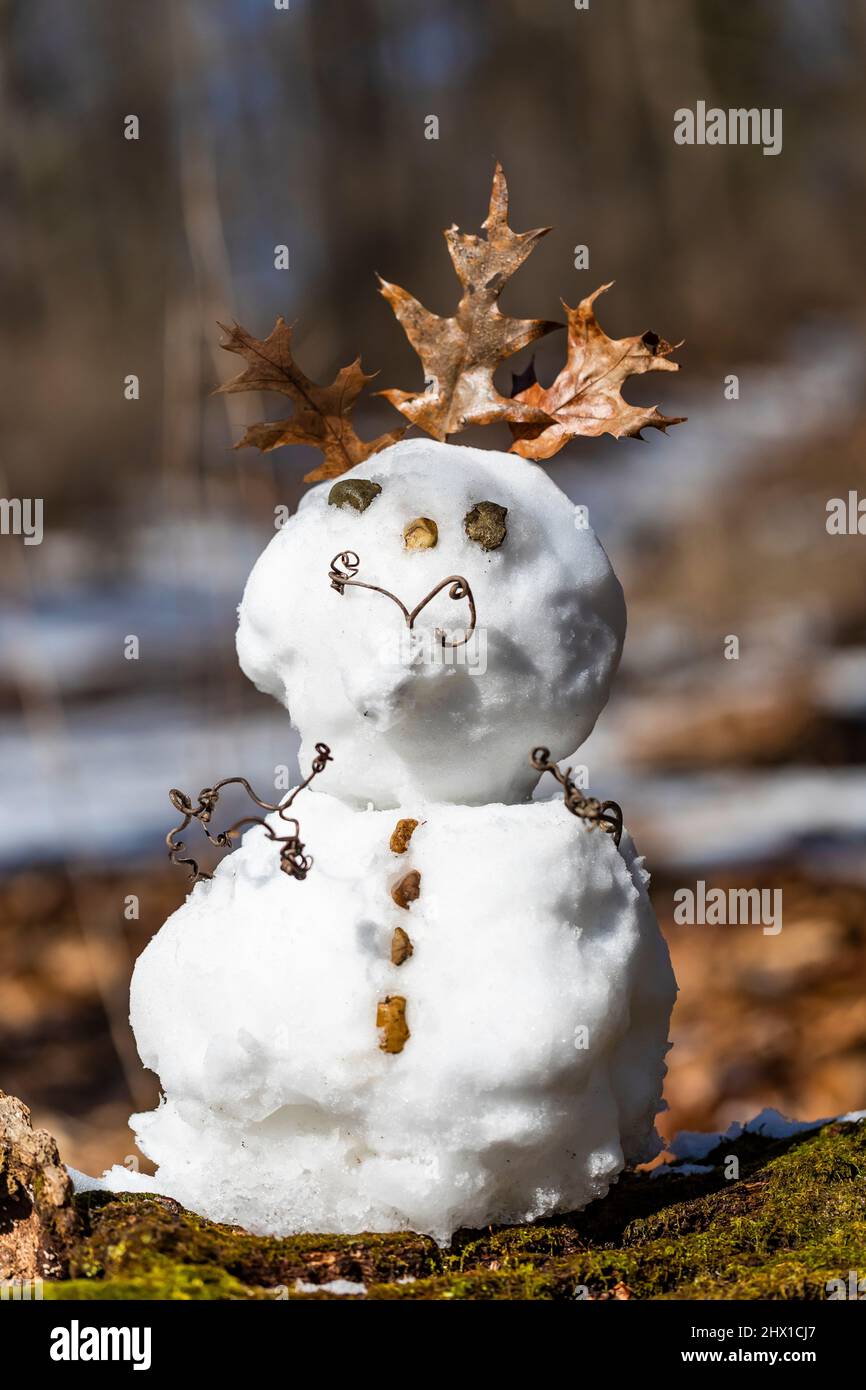 Snowman decorated with natural materials in the Ott Biological Preserve ...