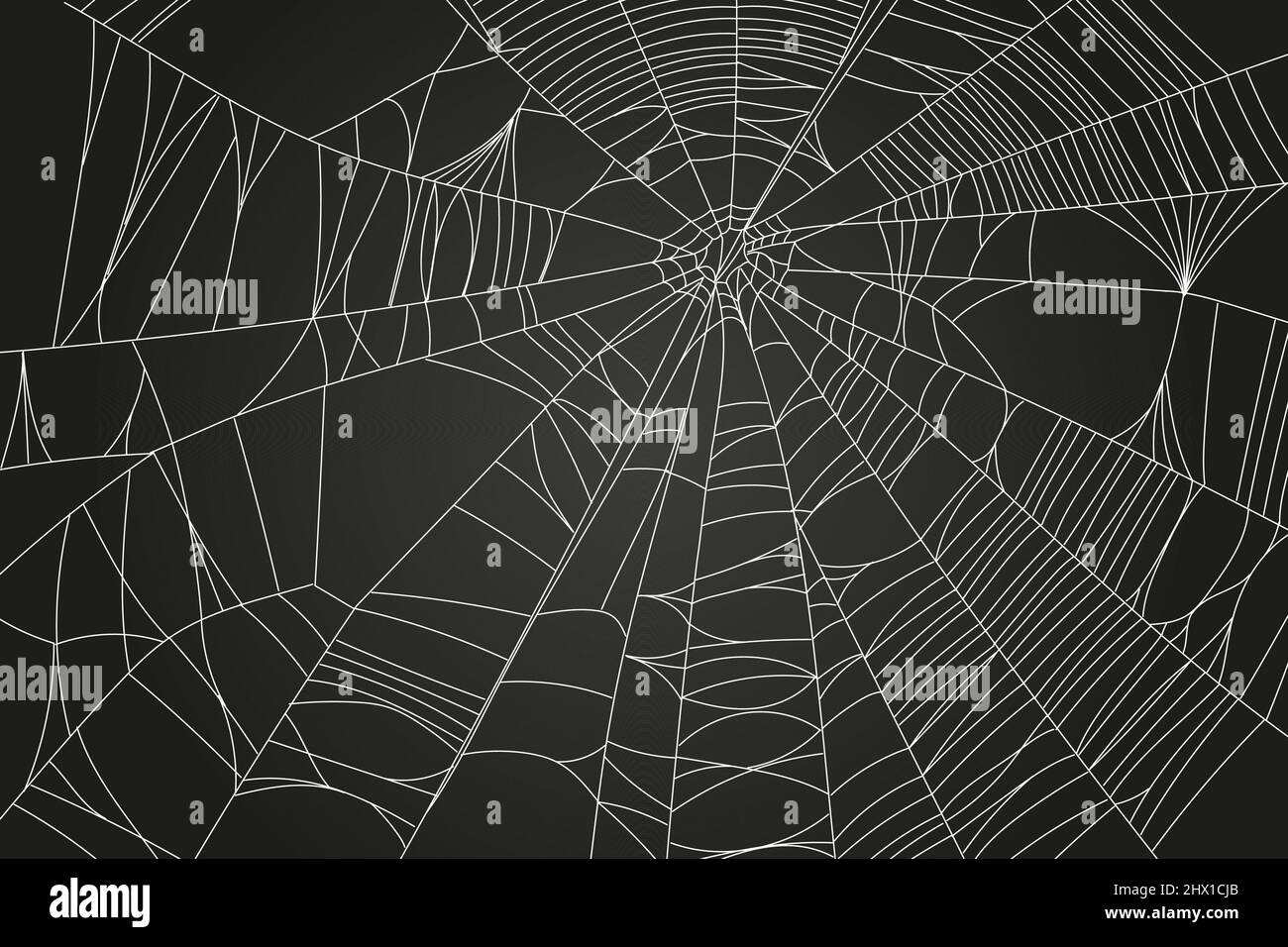 Spider web parts isolated on black background. Scary cobweb outline ...