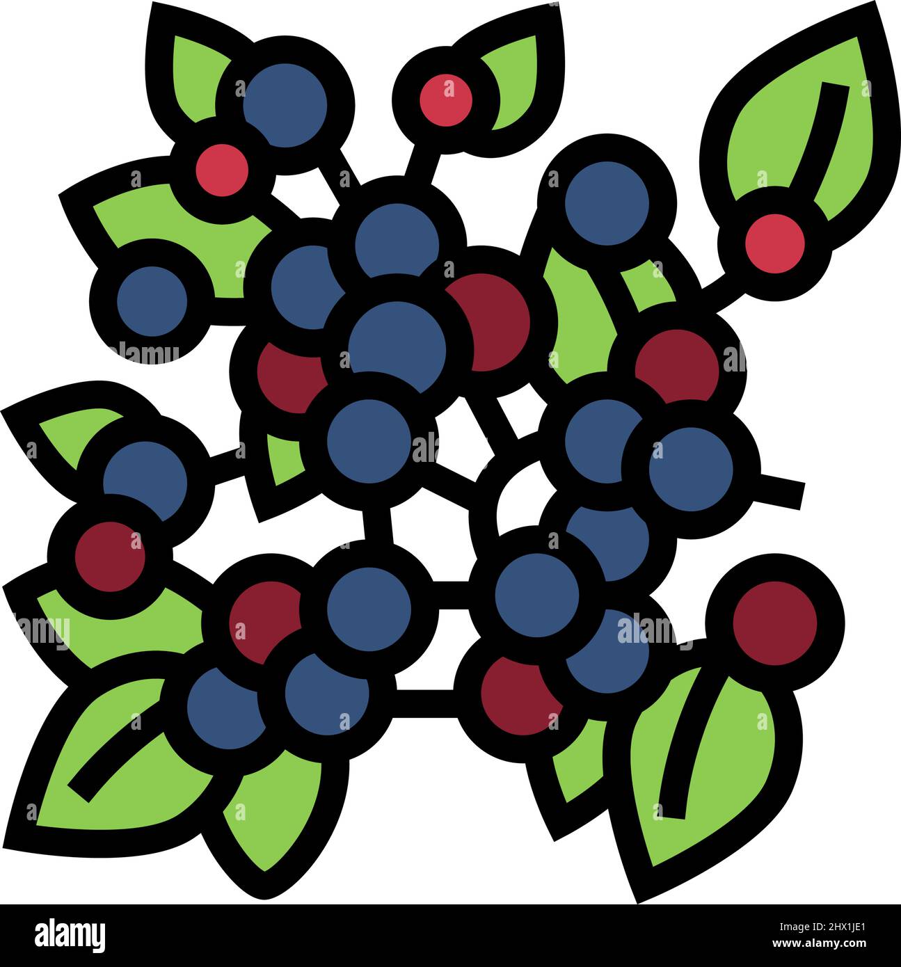 huckleberry plant branch color icon vector illustration Stock Vector ...