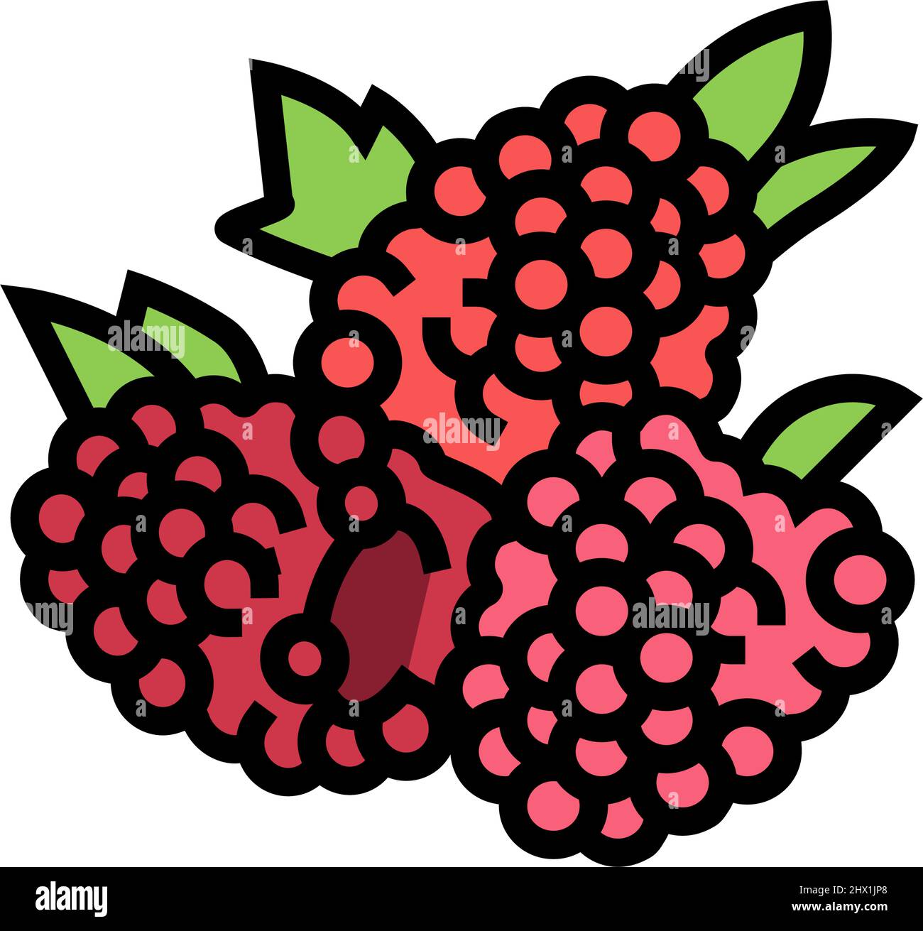raspberry berry color icon vector illustration Stock Vector Image & Art ...