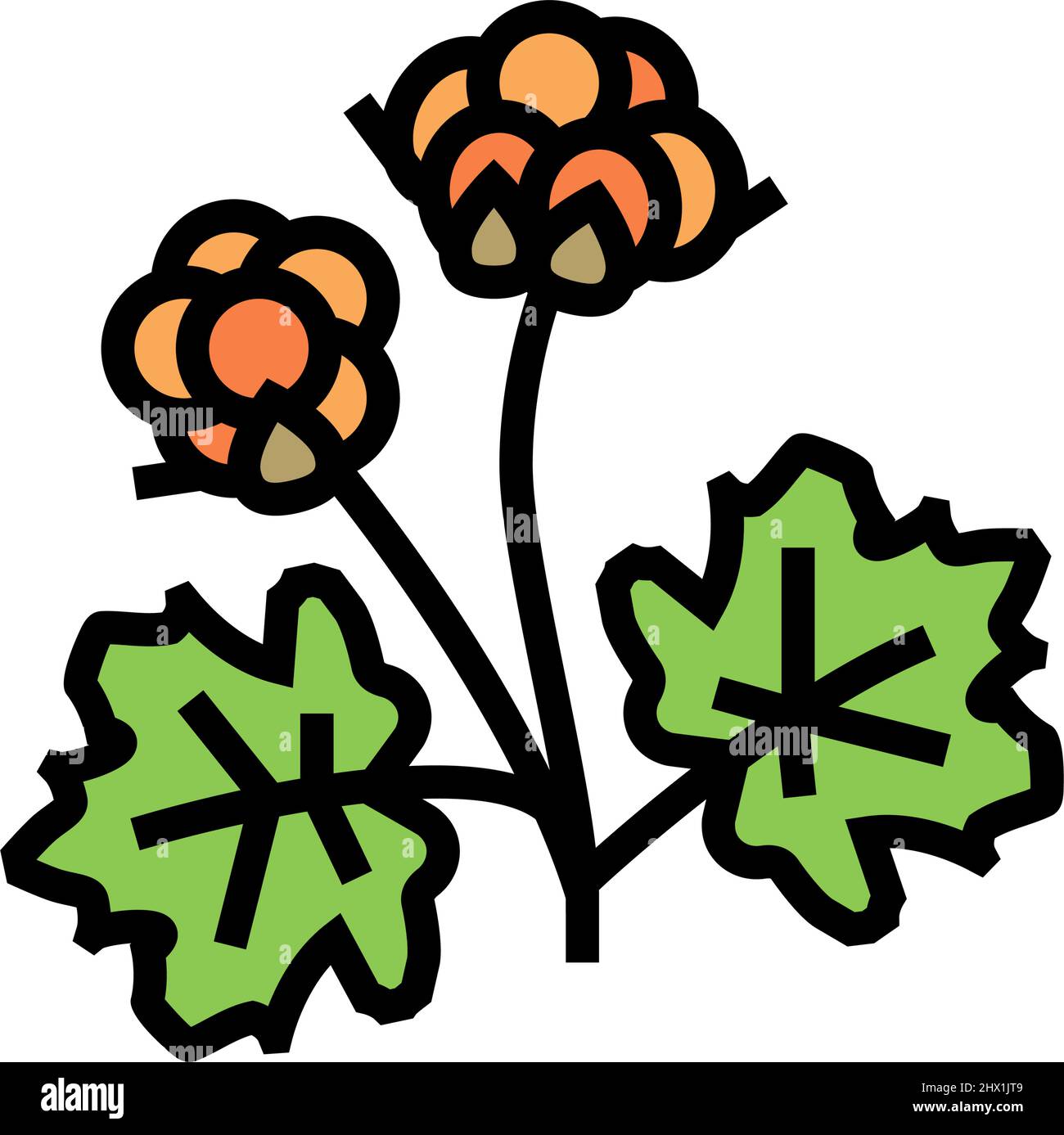 Cloudberry icon hi-res stock photography and images - Alamy