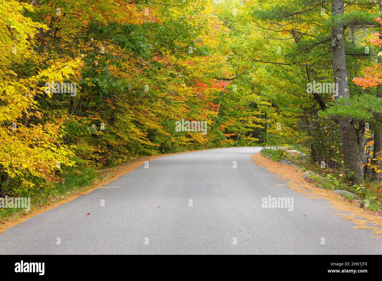 Autumn foliage along Passaconaway Road in Albany, New Hampshire during ...