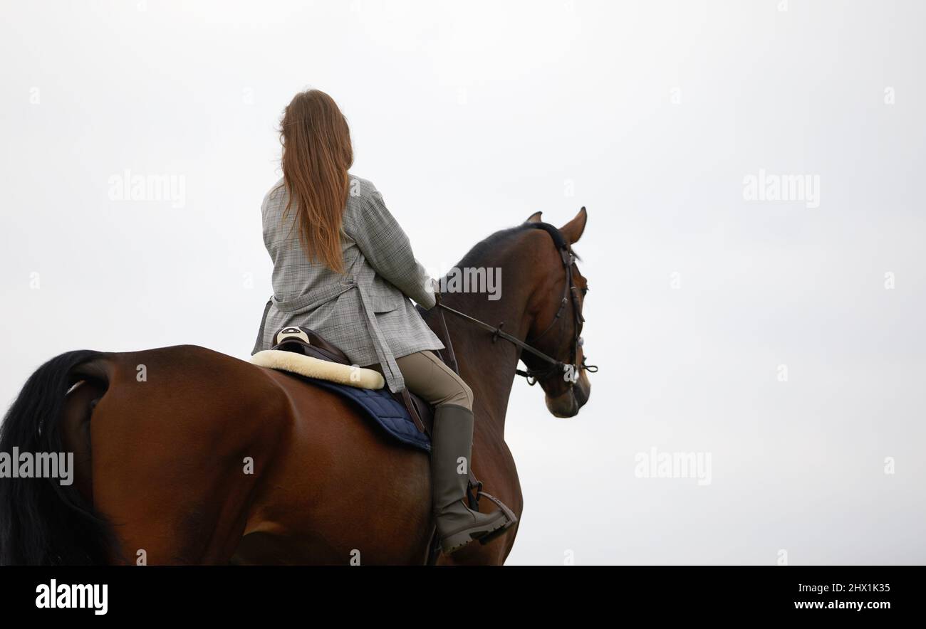 Beautiful young woman riding a horse on the field. Sideways to the ...