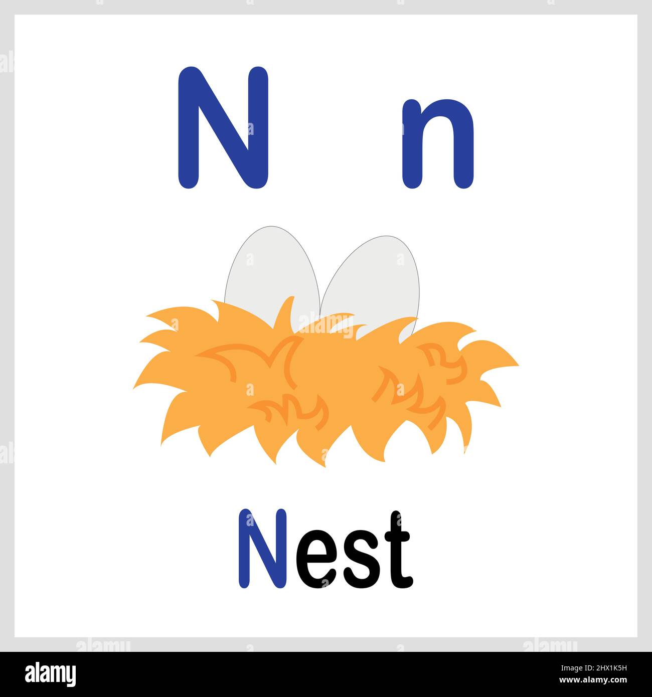 Nest interior Stock Vector Images - Alamy