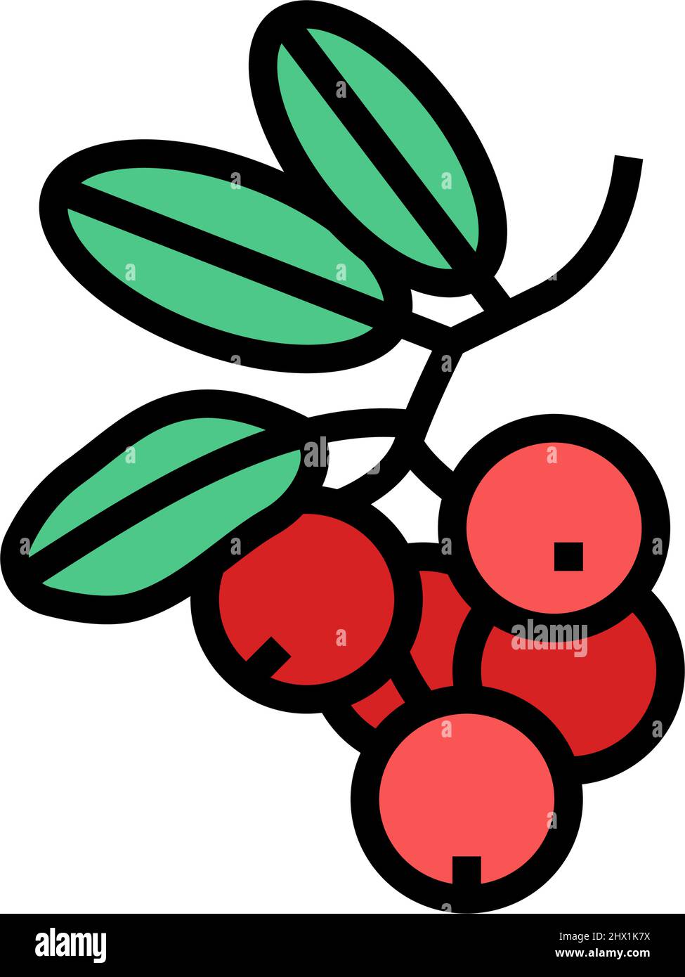 lingonberry berry color icon vector illustration Stock Vector Image ...