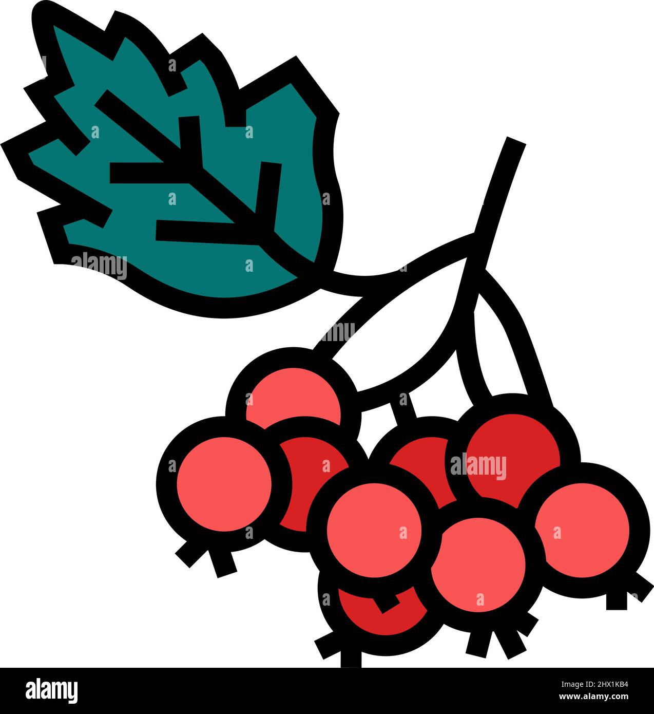 Hawthorn tree leaves Stock Vector Images - Alamy