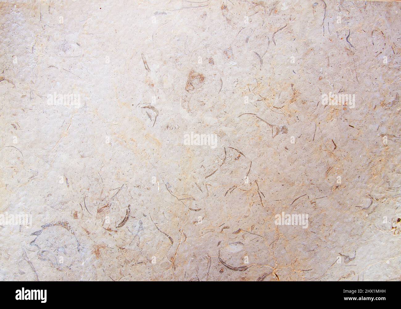 Old vintage beige background for retro design Stock Photo - Alamy