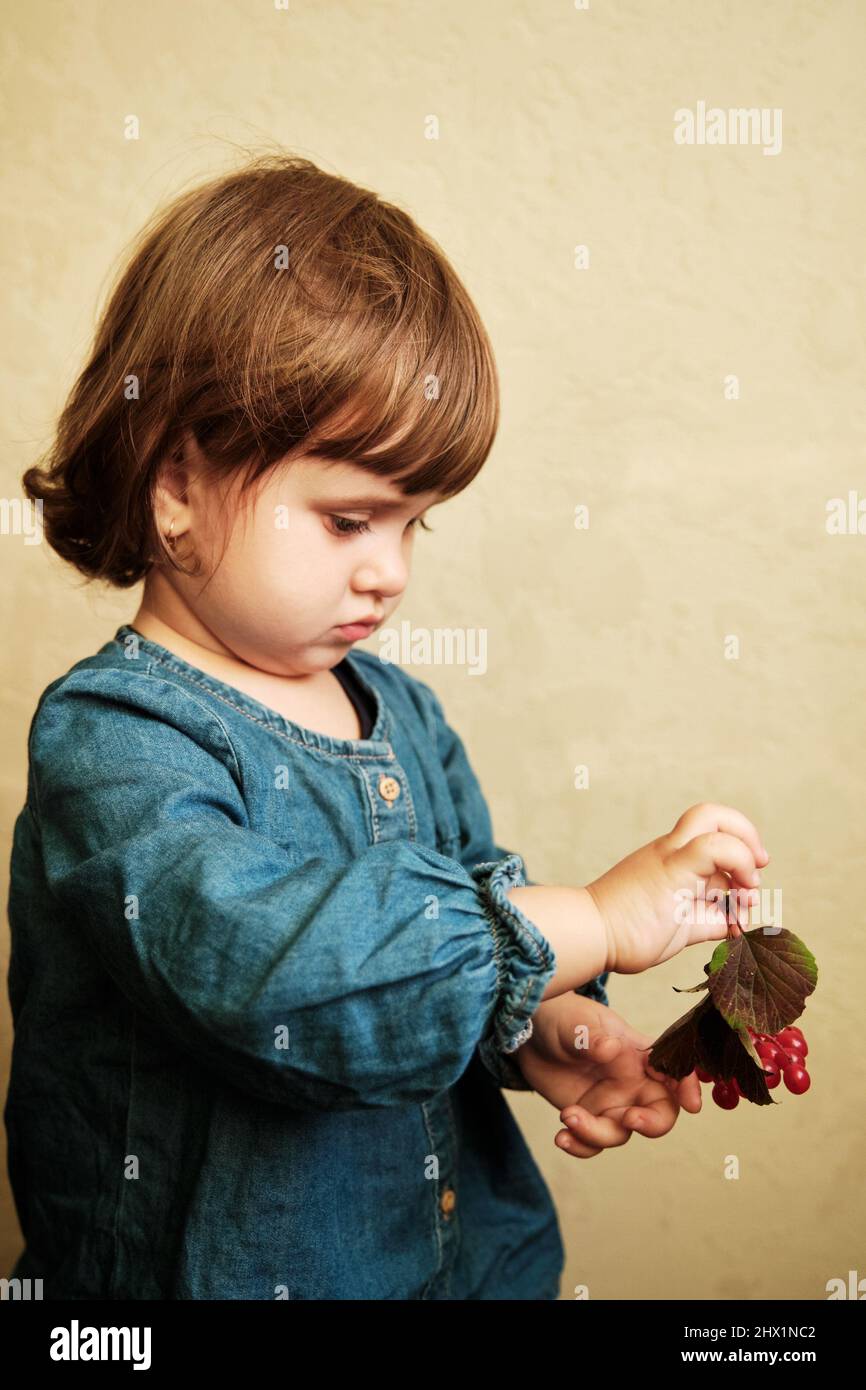 Funny little girl with a sprig of red viburnum in the hands Stock Photo ...