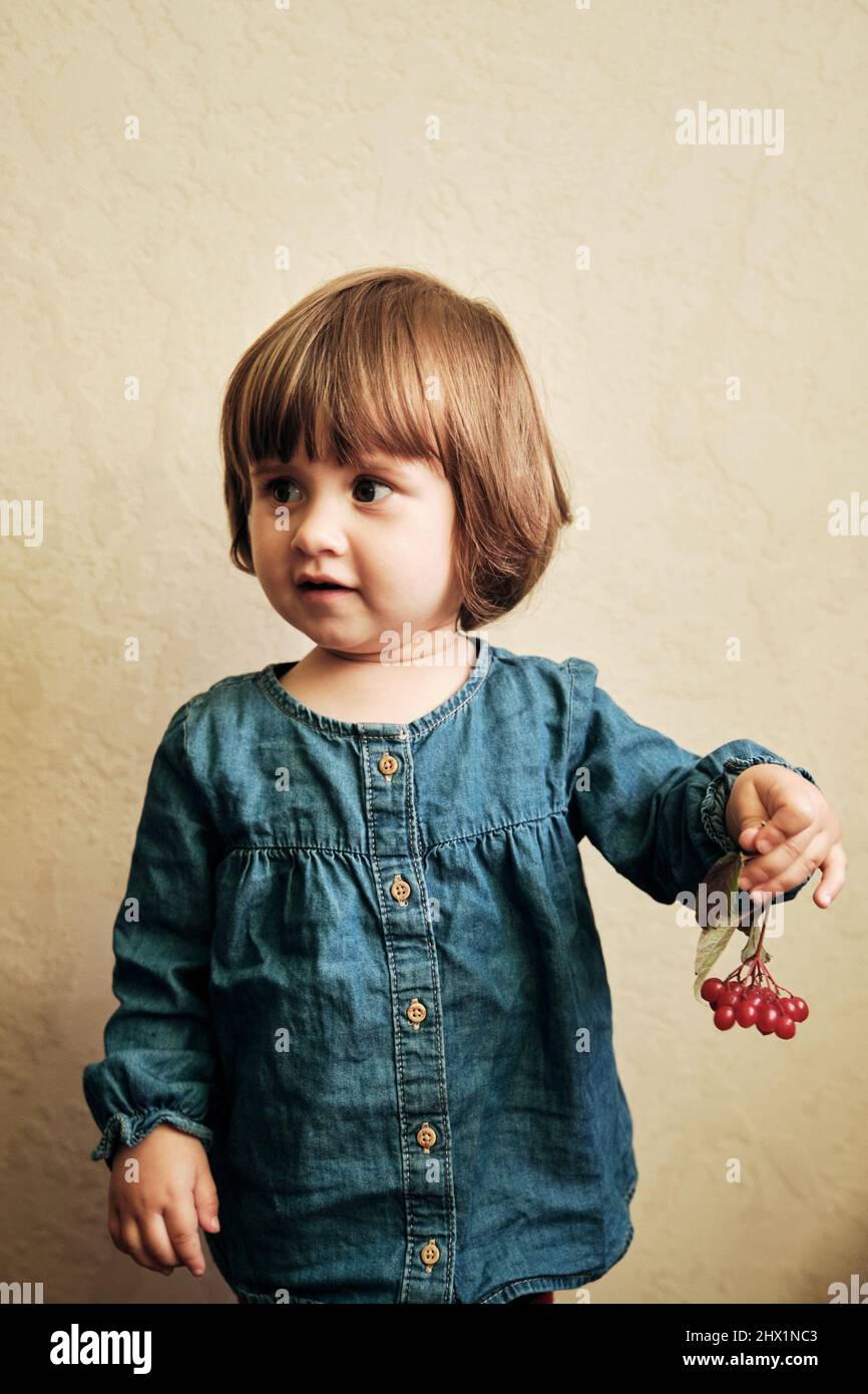 Funny little girl with a sprig of red viburnum in the hands Stock Photo ...