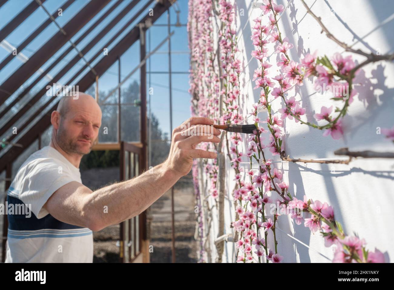 Rupert norris hi-res stock photography and images - Alamy