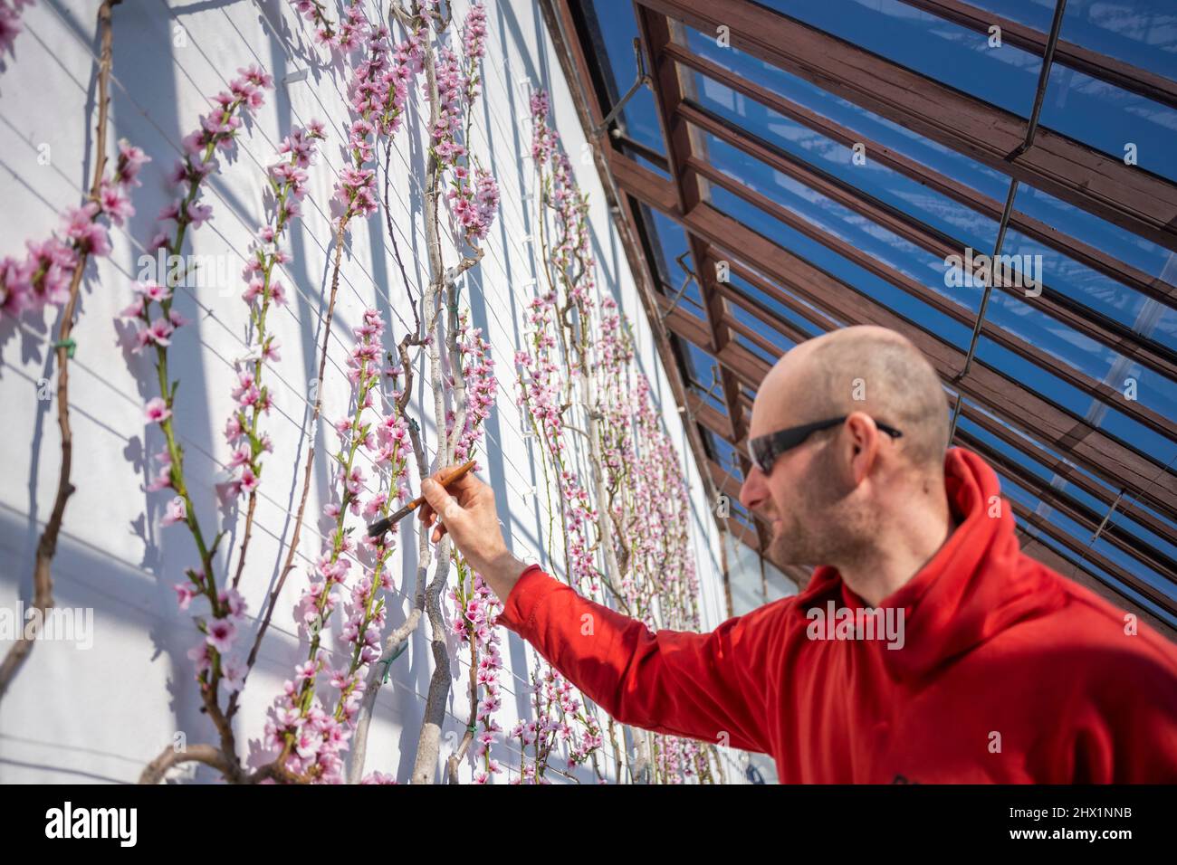 Rupert norris hi-res stock photography and images - Alamy