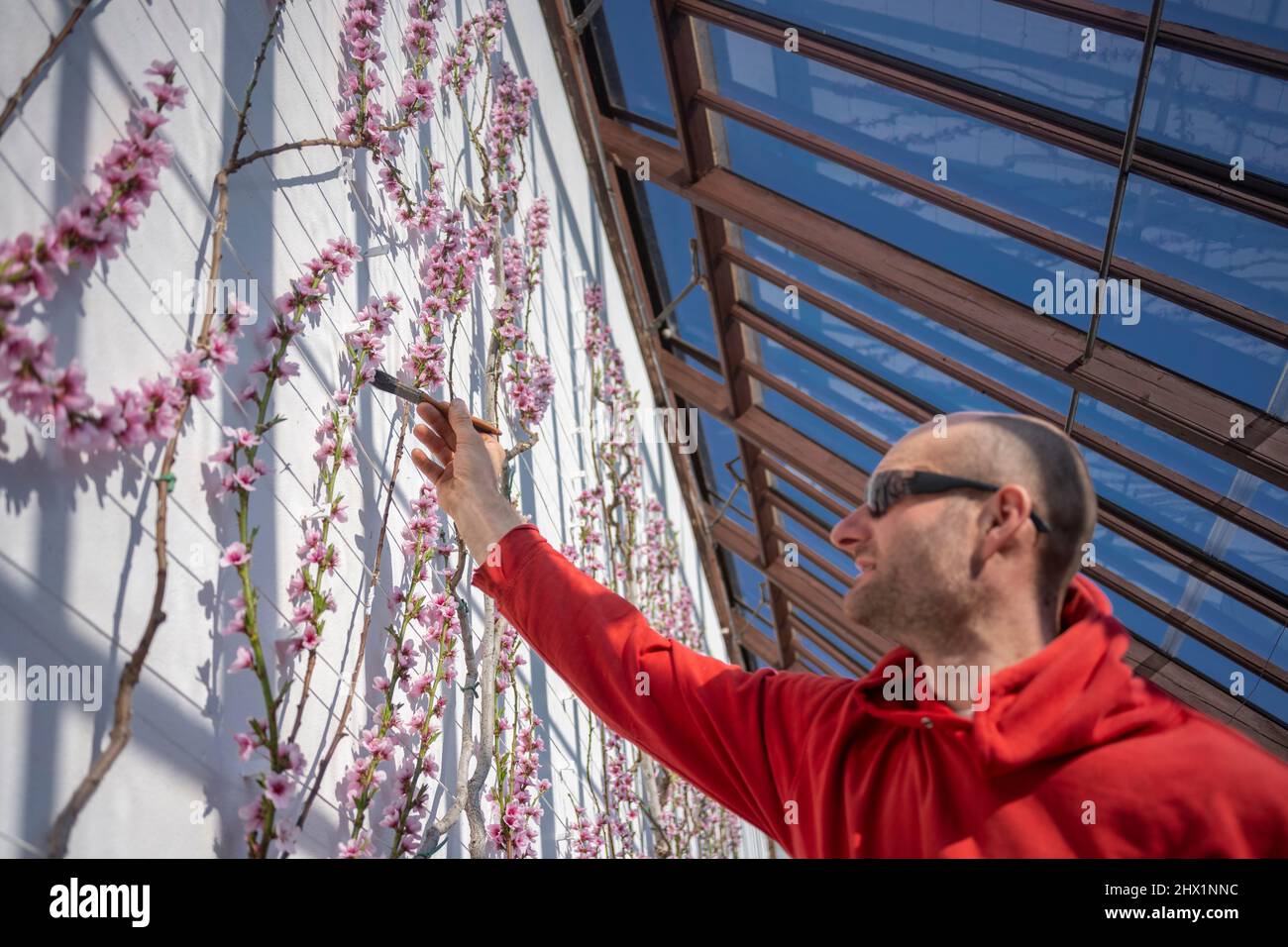 Rupert norris hi-res stock photography and images - Alamy