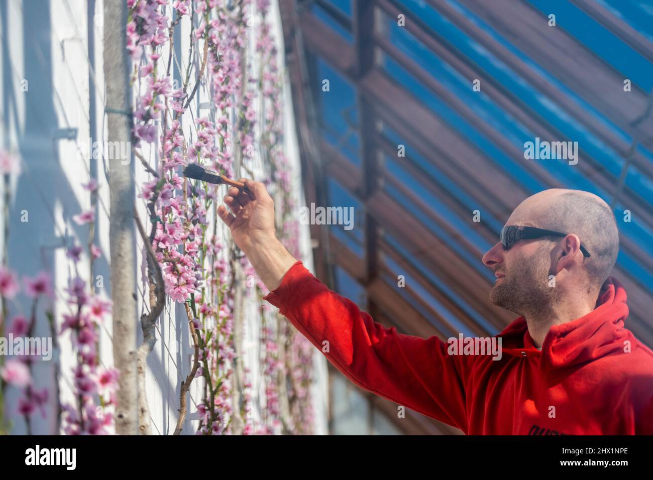 Rupert norris hi-res stock photography and images - Alamy