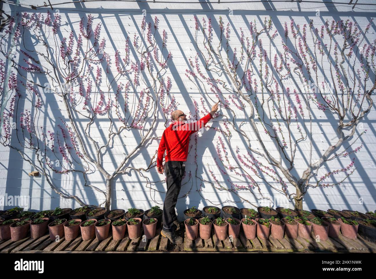 Rupert norris hi-res stock photography and images - Alamy