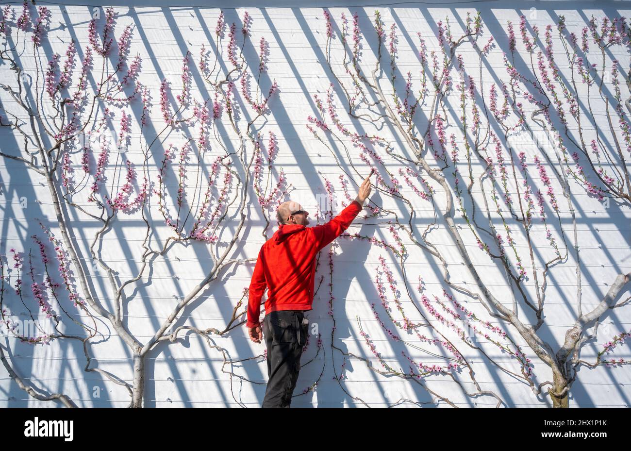 Rupert norris hi-res stock photography and images - Alamy