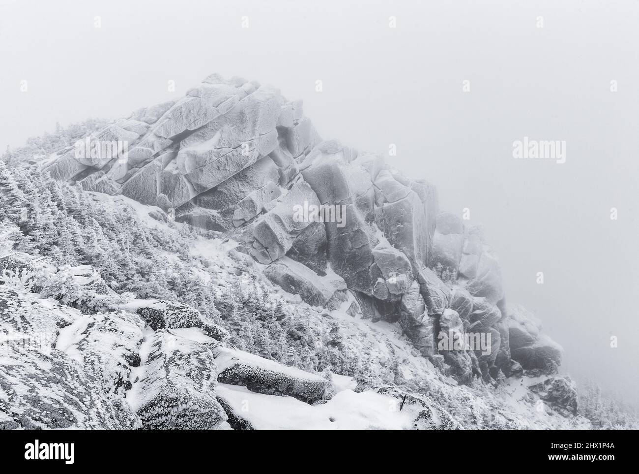 Black and white scene of the summit of Mount Liberty in the New ...