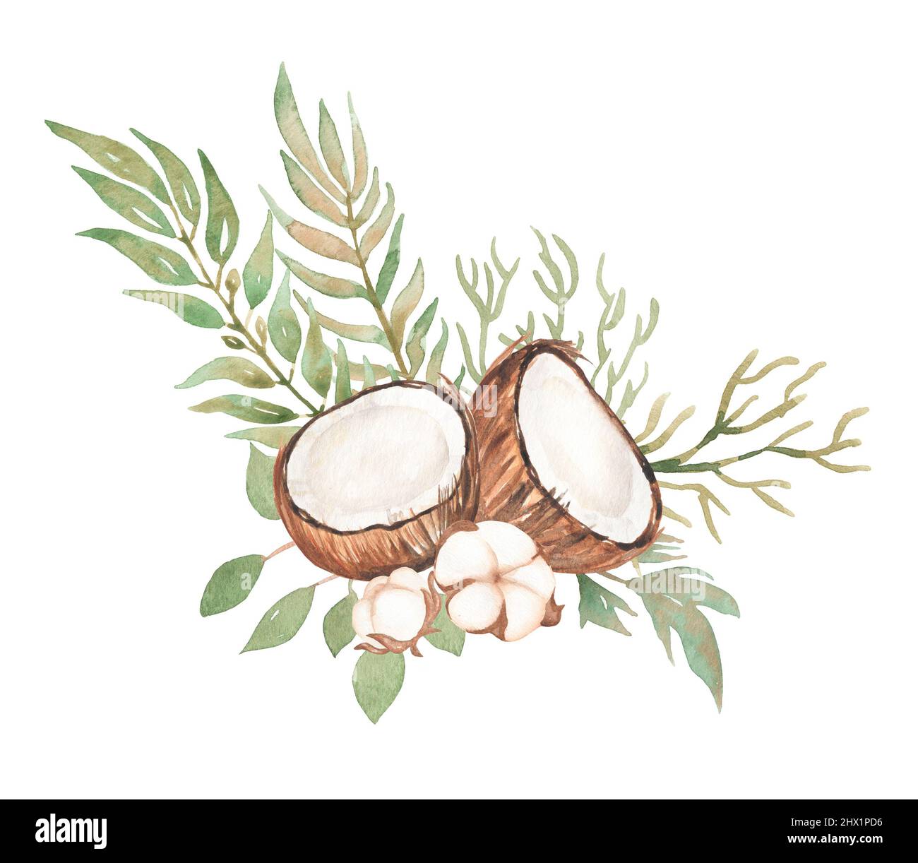 Watercolor Coconut Clipart, Greenery Bouquet, Cotton Floral ...