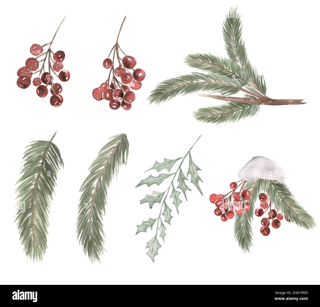 Christmas Florals Clipart set, Watercolor Winter Holiday Party ...