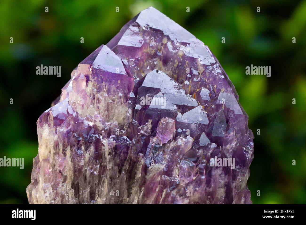 amethyst mineral specimen stone rock geology gem crystal Stock Photo ...