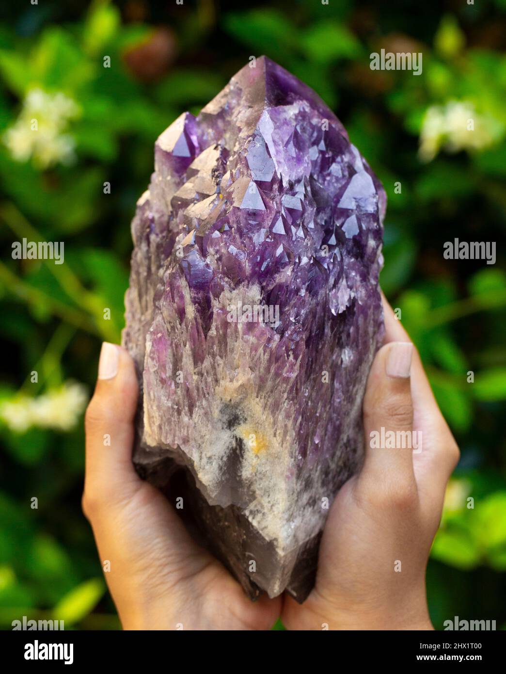 amethyst mineral specimen stone rock geology gem crystal Stock Photo ...