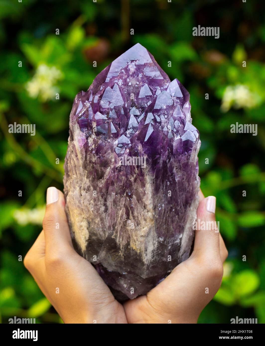 amethyst mineral specimen stone rock geology gem crystal Stock Photo ...