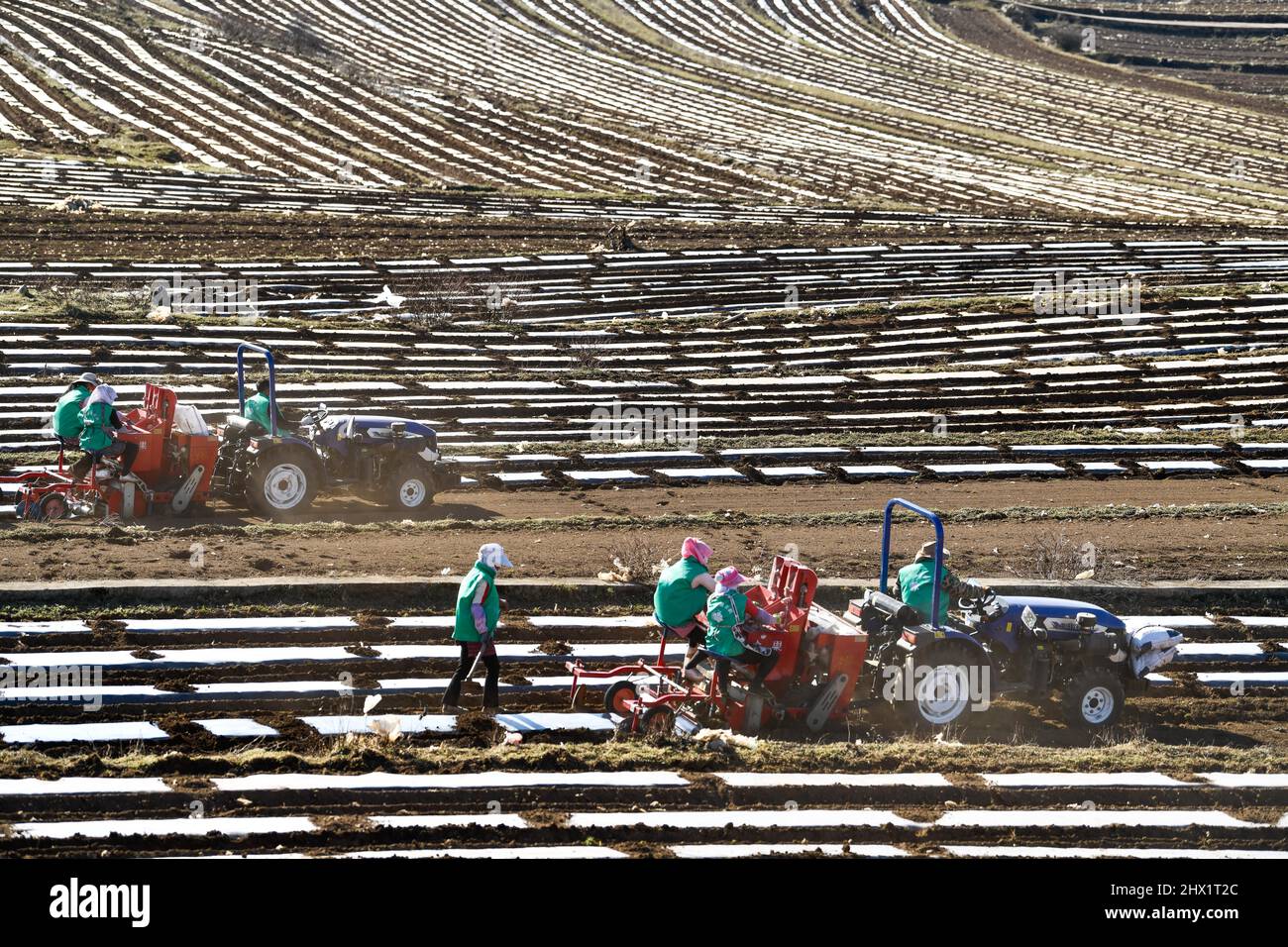 Weining, China's Guizhou Province. 8th Mar, 2022. Farmers work in the ...