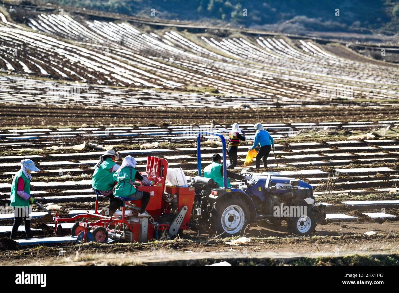 Weining, China's Guizhou Province. 8th Mar, 2022. Farmers work in the ...