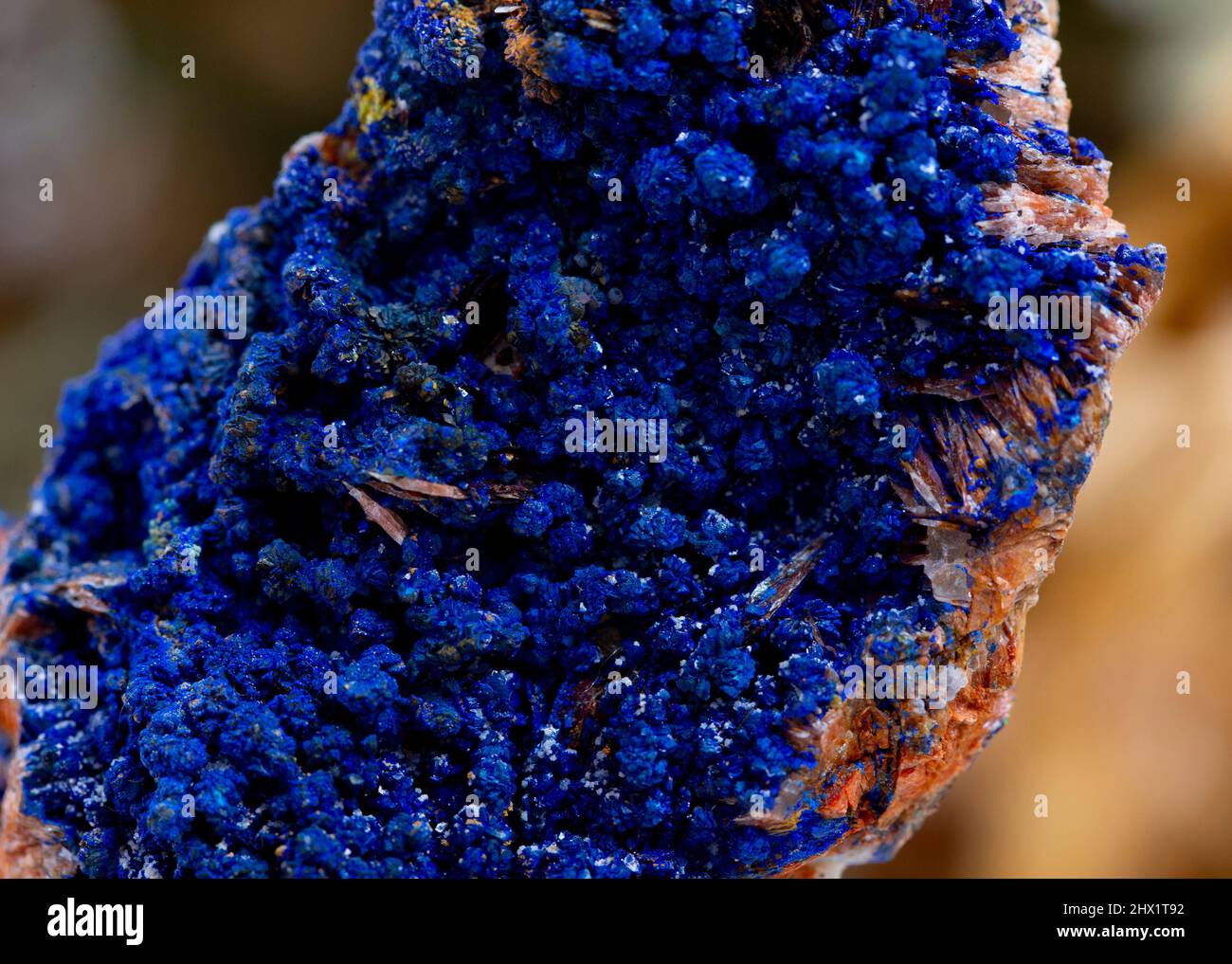 azurite mineral specimen stone rock geology gem crystal Stock Photo - Alamy