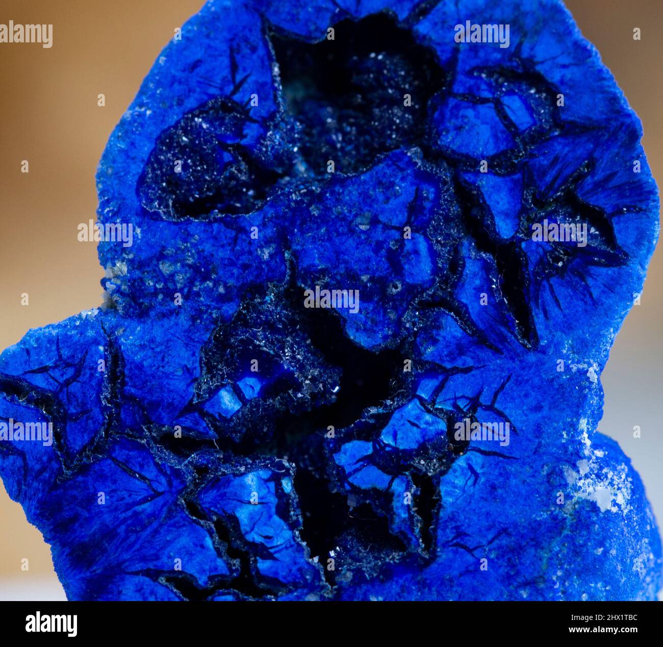 azurite mineral specimen stone rock geology gem crystal Stock Photo - Alamy