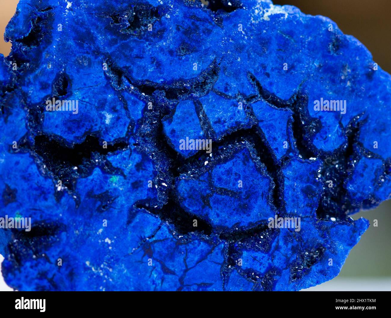 azurite mineral specimen stone rock geology gem crystal Stock Photo - Alamy