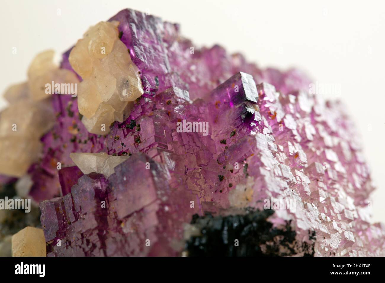 Geology quartz inclusion rock hi-res stock photography and images - Alamy