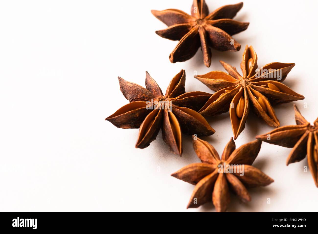 Star anise dried spices pods on the white background with copy space ...